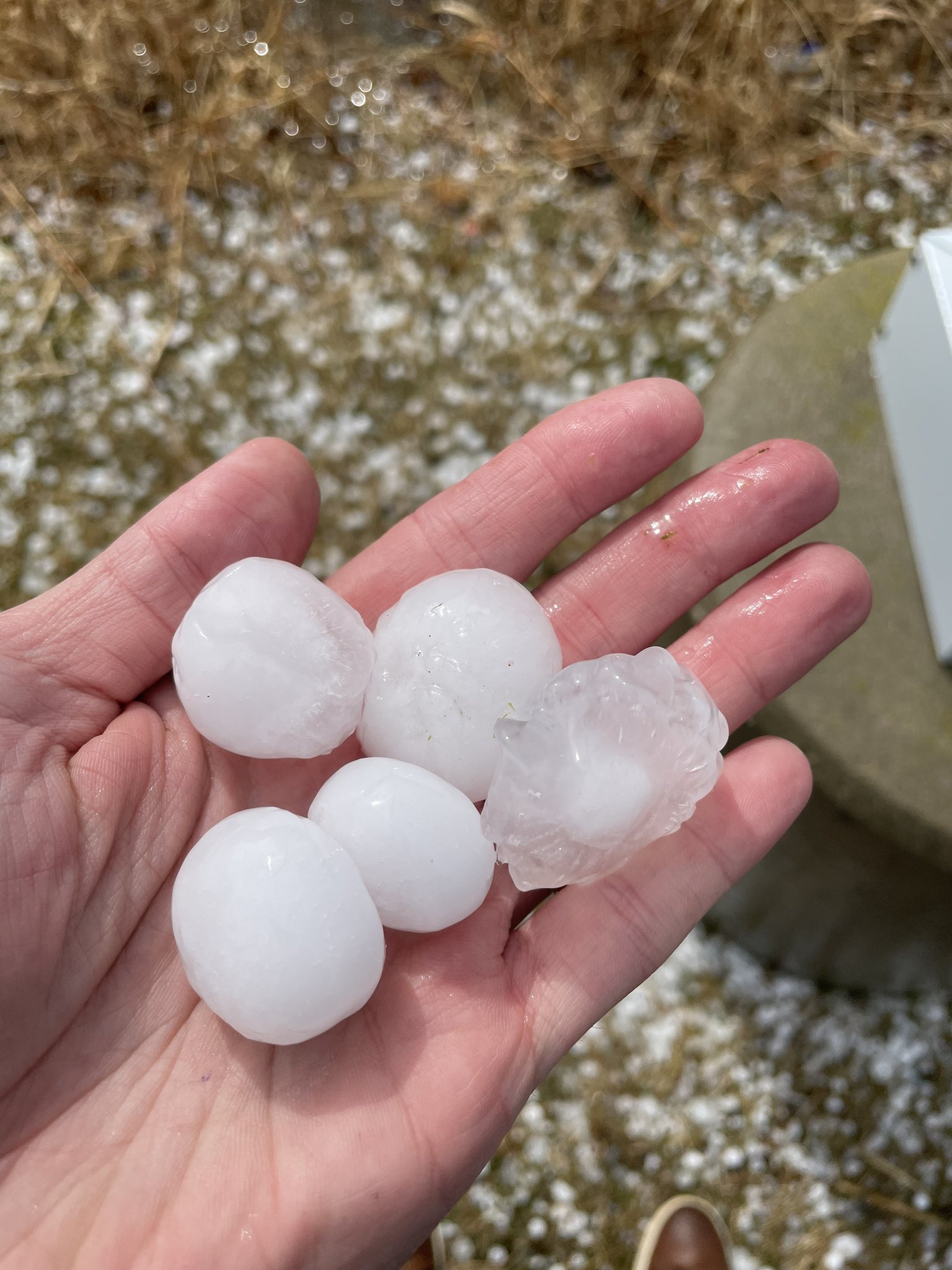 April 4-5, 2023: Multiple Rounds of Severe Storms Produce a Swath of ... April 4-5, 2023: Multiple Rounds of Severe Storms Produce a Swath of ...